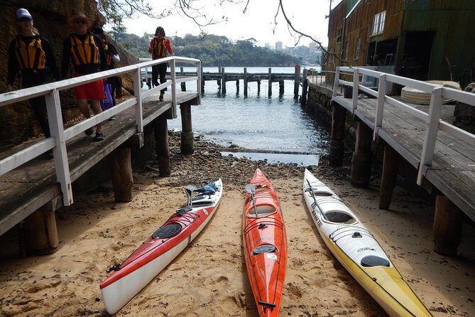 Kayak to Goat Island in Sydney Harbour with Local - What the Reviews Tell Us