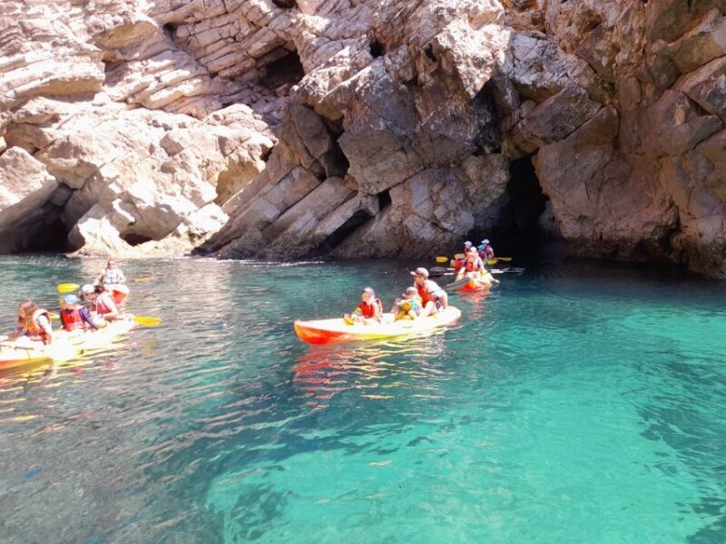 Kayak tour - The Experience in Practice: What Real Travelers Say