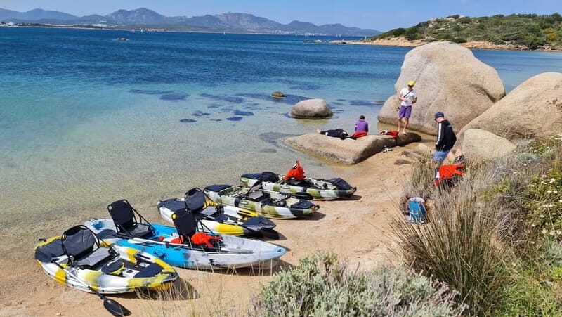 Kayak tour in Cala Moresca - Aperitif and Dolphin watching - Final Thoughts