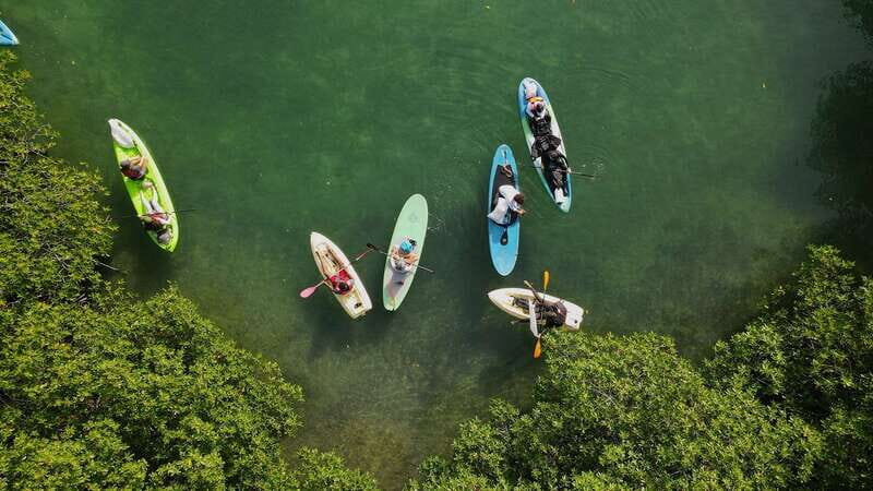 Kayak Tour in Cancun with Photos included - A Deep Dive into the Kayak Tour Experience