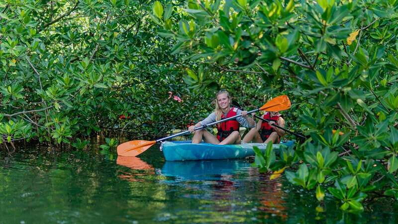 Kayak Tour in Cancun with Photos included - Real Traveler Insights