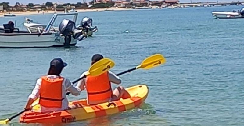 Kayak Tour in Ria Formosa - Olhão - Key Points