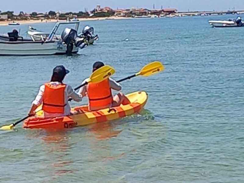 Kayak Tour in Ria Formosa - Olhão - The Itinerary: What to Expect