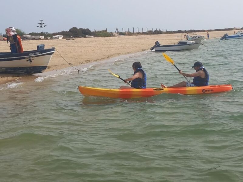 Kayak Tour in Ria Formosa - Olhão - Additional Value and Practical Details