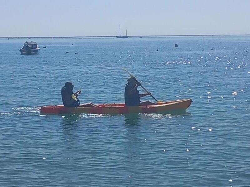 Kayak Tour in Ria Formosa - Olhão - Who Should Consider This Tour?
