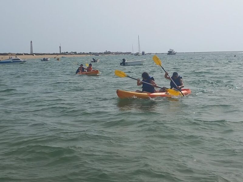 Kayak Tour in Ria Formosa - Olhão - Final Thoughts: Is it Worth It?
