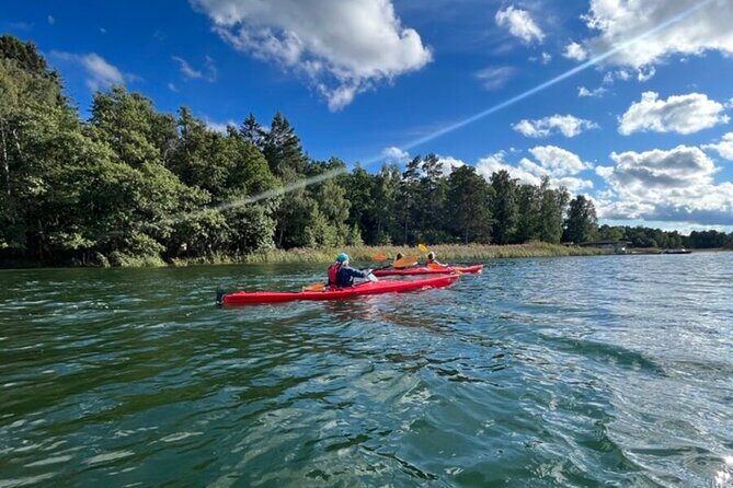 Kayak Tour in the Stockholm Archipelago with Lunch Meal - Wildlife and Nature Highlights