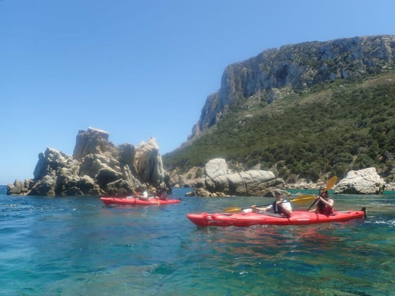 Kayak Tour of Capo Figari, Golfo Aranci (3 hours) - Authentic Experiences and Customer Feedback