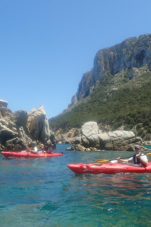 Kayak Tour of Capo Figari, Golfo Aranci (3 hours) - Price and Value