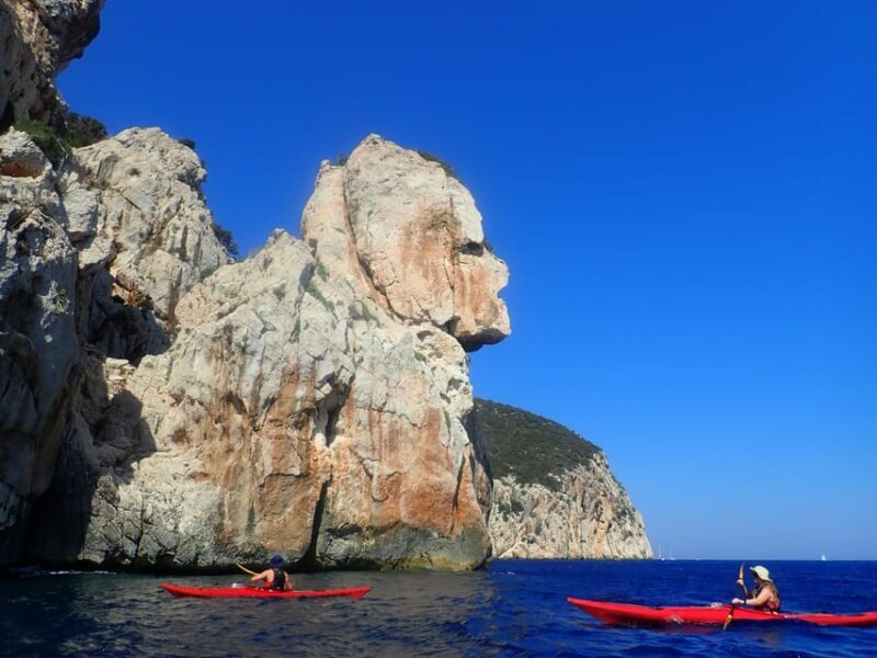 Kayak Tour of Capo Figari, Golfo Aranci (3 hours) - Who Will Love This Tour?