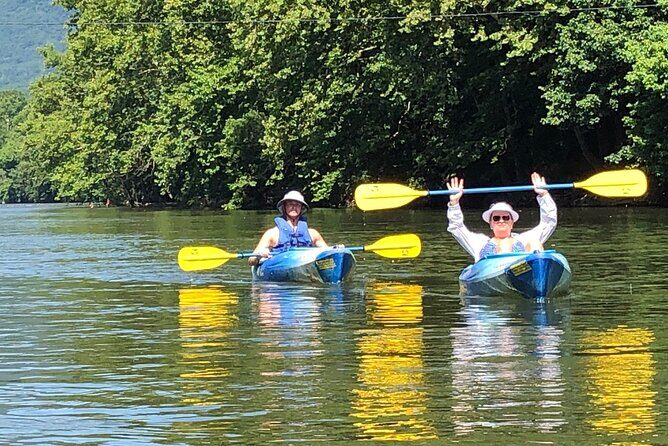 Kayak tour of Jamestown Island (Small Group or Private) - Practical Details and Value