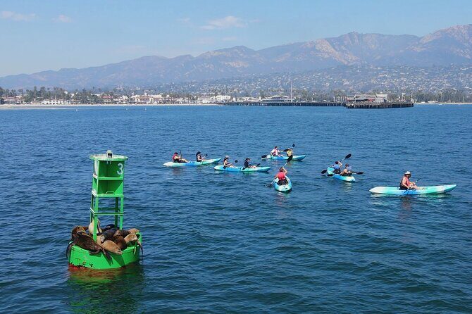 Kayak Tour of Santa Barbara with Experienced Guide - The The Sum Up