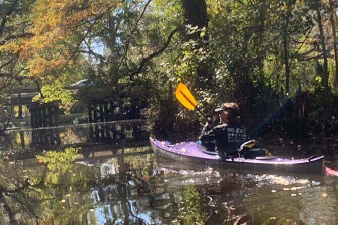 Kayak Tour Of The Honey Island Swamp and Backwaters - An Authentic Kayak Adventure in Honey Island Swamp