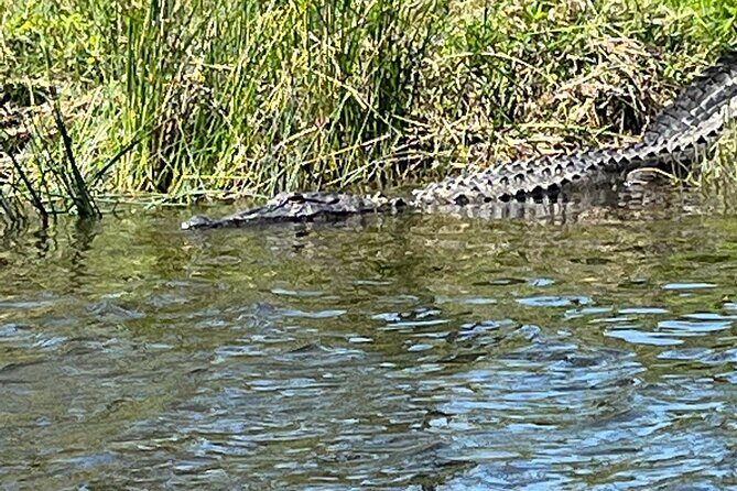 Kayak Tour Of The Honey Island Swamp and Backwaters - The Sum Up: Is This Tour Worth Your Time?