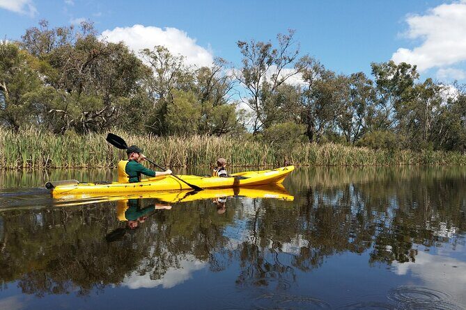 Kayak Tour on the Canning River - An In-Depth Look at the Canning River Kayaking Experience