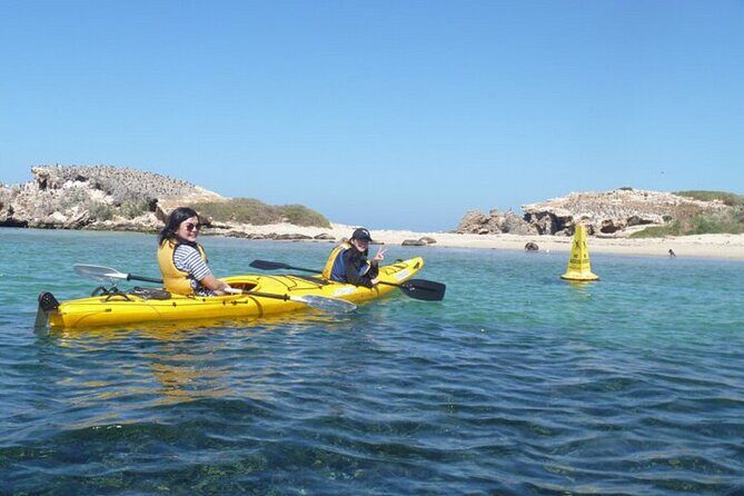 Kayak Tour on the Canning River - Final Words: Why You Might Book This Experience