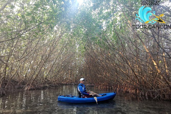 Kayak TOUR POR Laguna Nichupte Cancun - The Bottom Line