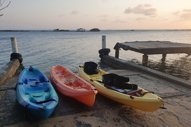 Kayak Tour to Seaglass Island - Practical Tips for Participants