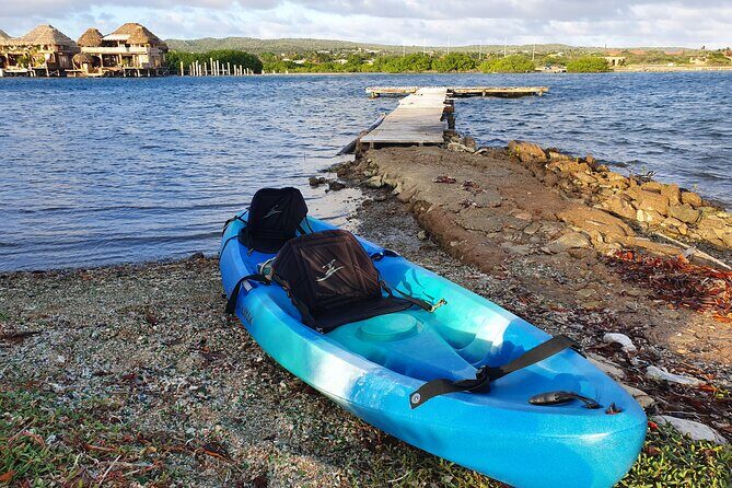 Kayak Tour to Seaglass Island - The Sum Up: Is This Tour Worth It?