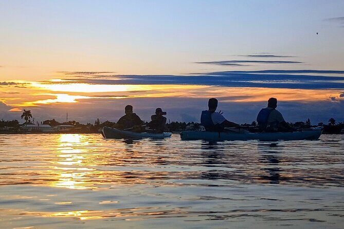Kayak Tours and Rentals. Dolphins, Manatees, and Bioluminescence! - Guides and Reviews