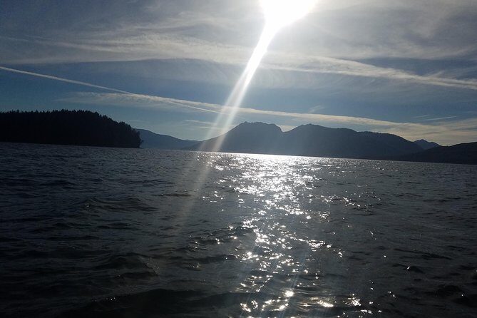 Kayak Tours - An In-Depth Look at the Kayak Tour Experience