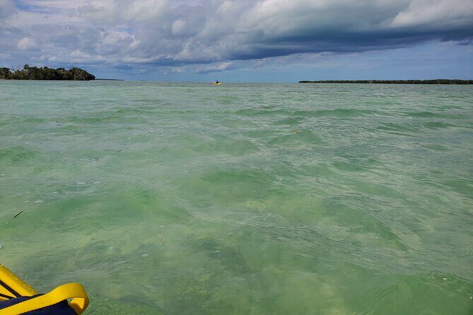 Kayak Trip, 1 Wet Hike + 2 dry hikes in Everglades National Park - The Practical Side: What Does the Tour Offer?