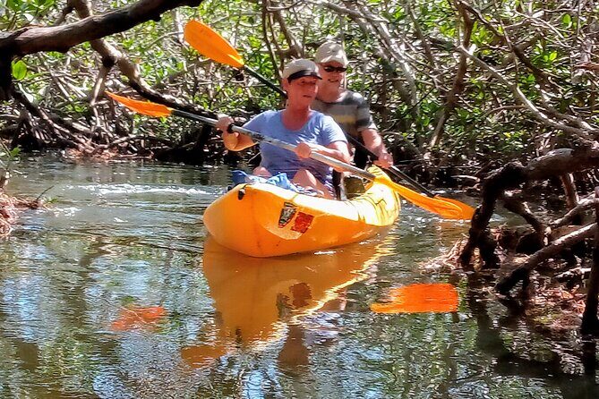 Kayak Trip, 1 Wet Hike + 2 dry hikes in Everglades National Park - Final Thoughts on the Experience