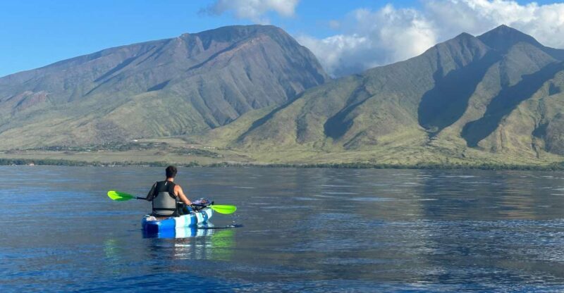 Kayak, Whale Watch And Snorkel At Turtle Town - What to Expect from This Maui Kayak, Whale, and Snorkel Tour