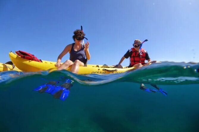Kayak, Whale Watch and Snorkel - An Authentic Maui Adventure: Kayak, Whale Watch, and Snorkel Tour Review
