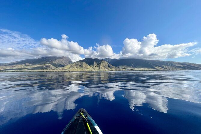 Kayak, Whale Watch, and Snorkel With Optional Photo and Video - The Itinerary: What to Expect from Start to Finish