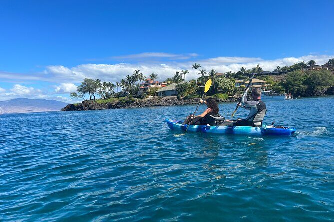 Kayak, Whale Watch, and Snorkel With Optional Photo and Video - Final Thoughts: Who Will Love This Tour?