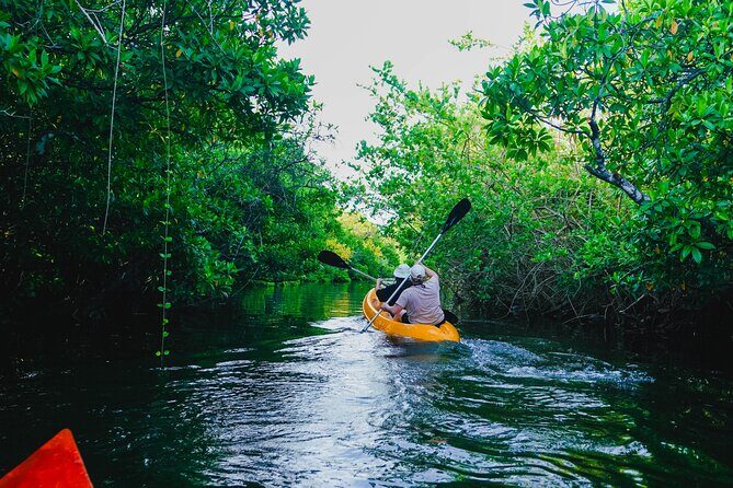 Kayaking Adventure on serene waters through mangroves, Akurala - Key Points