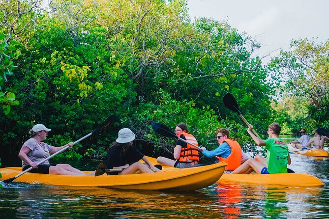 Kayaking Adventure on serene waters through mangroves, Akurala - Review Highlights from Others