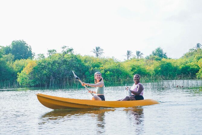 Kayaking Adventure on serene waters through mangroves, Akurala - FAQ
