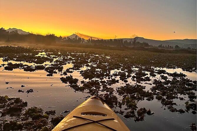 Kayaking adventure through the Xochimilco and Frida Kahlo Canals - Practical considerations and value