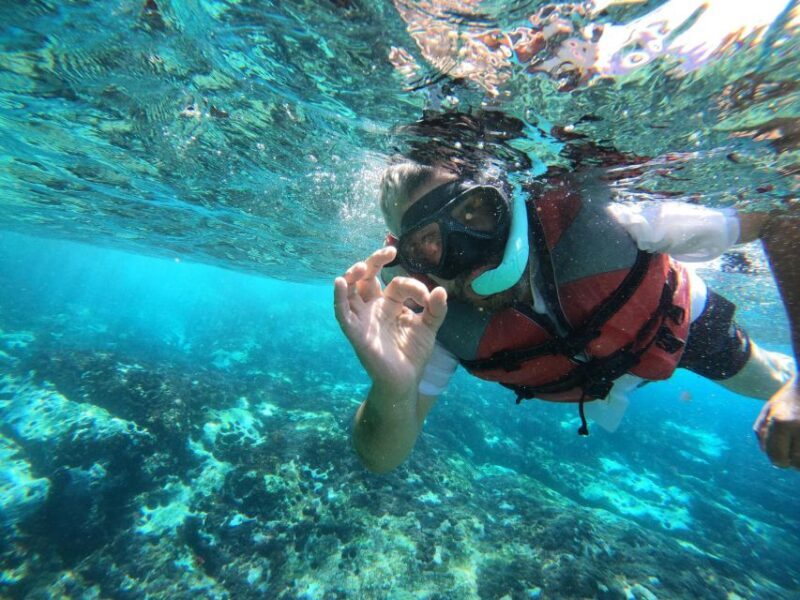 Kayaking and Snorkeling with Turtles - Who Is This Tour Best For?