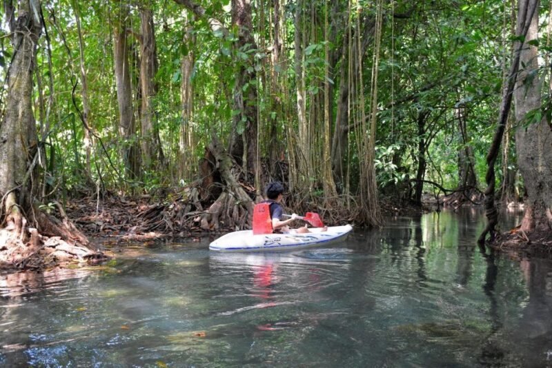 Kayaking and swiming klongrood - Exploring the Kayaking and Swimming Klongrood Experience in Krabi