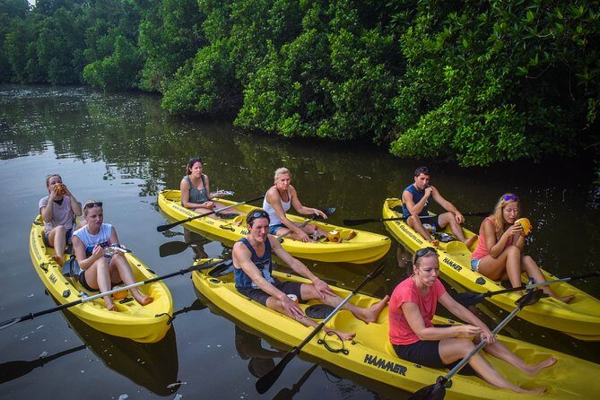 Kayaking from Bentota - An In-Depth Look at the Kayaking Experience