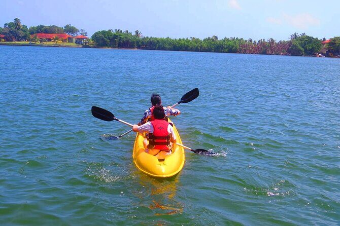 Kayaking from Bolgoda Lake - Discovering Bolgoda Lake: The Kayaking Experience