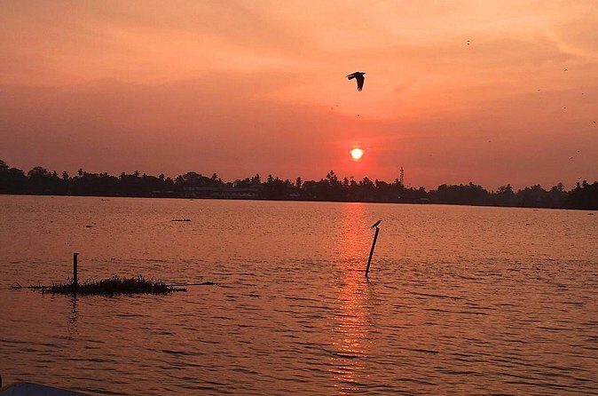 Kayaking from Bolgoda Lake - The Value and Who It’s Best For