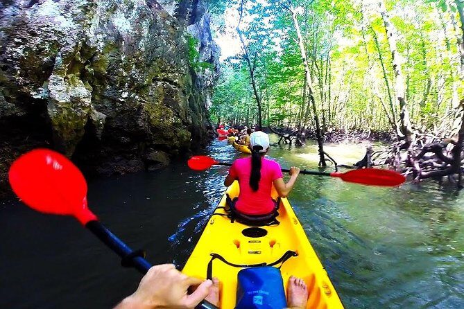 Kayaking in Ao Thalane - Discover the Mangrove life - Who Should Consider This Tour?