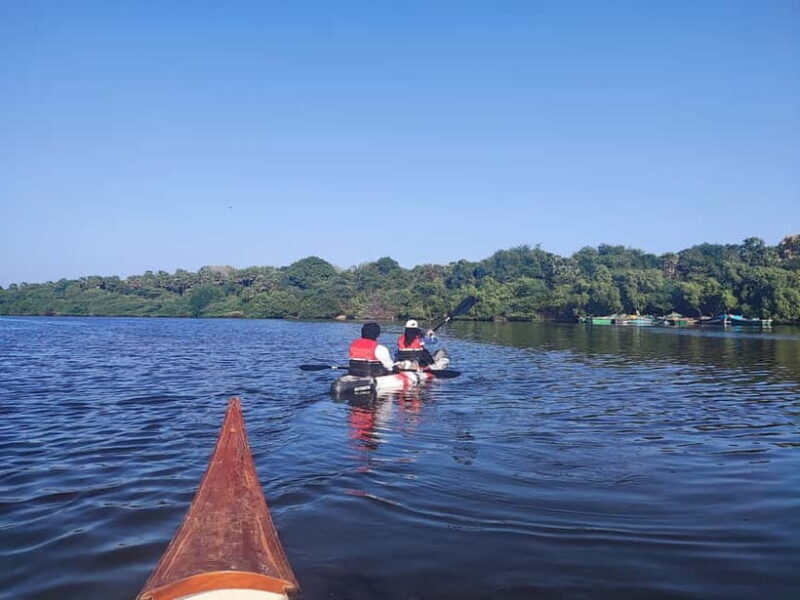 Kayaking in Backwaters of Pondicherry - A Closer Look at the Experience