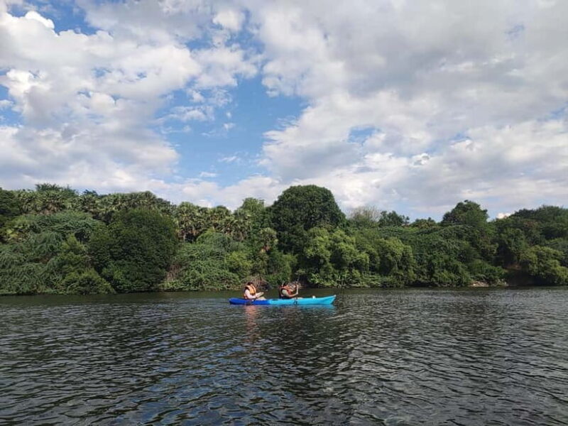 Kayaking in Backwaters of Pondicherry - What We Love About This Tour
