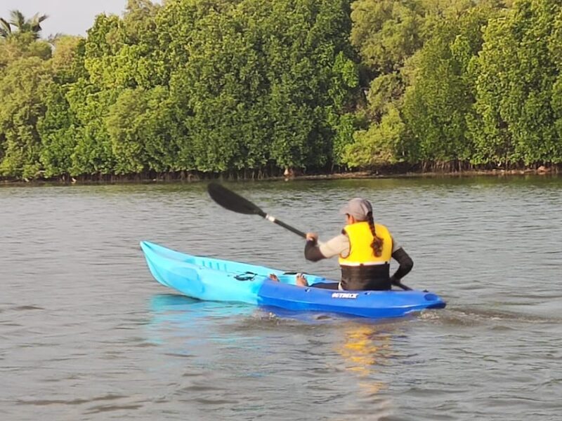 Kayaking in Backwaters of Pondicherry - FAQs