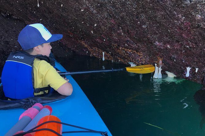 Kayaking in Deception Pass State Park - The Benefits of Booking This Tour