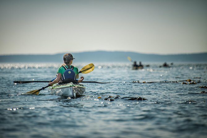 Kayaking in Deception Pass State Park - Final Thoughts: Is This Kayaking Tour Worth It?