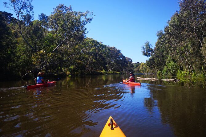 Kayaking in Geelong Victoria - Key Points