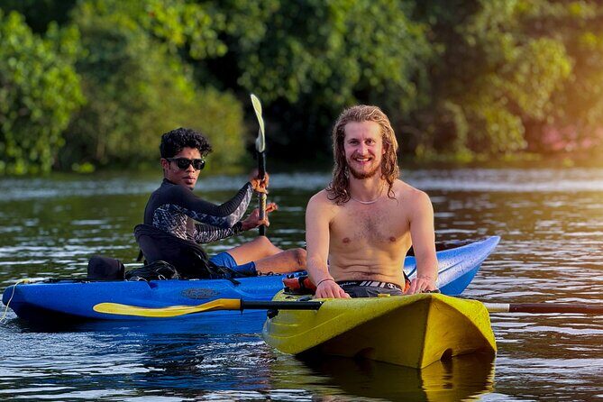 Kayaking in Kochi Guided Backwater and Mangrove Experience - Key Points