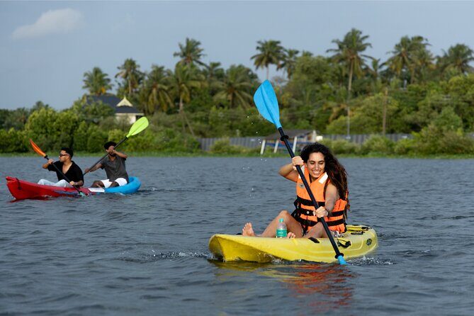 Kayaking in Kochi Guided Backwater and Mangrove Experience - Who Should Book This Tour?