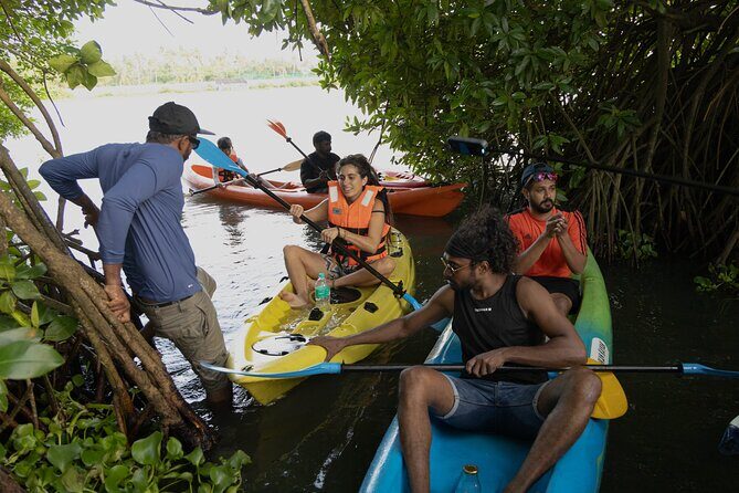 Kayaking in Kochi Guided Backwater and Mangrove Experience - The Sum Up: Is It Worth It?